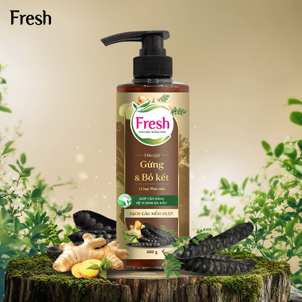 Phiên bản mới - Combo Dầu gội + Dầu xả Fresh Thảo mộc dưỡng sinh Sạch gàu mềm mượt 480g + Phục ...