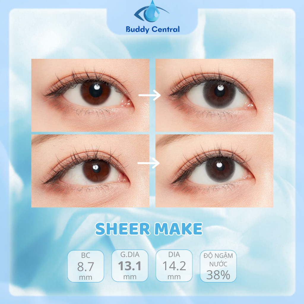 (1 chiếc lẻ) Lens Seed 1 ngày có màu Eye coffret - Sheer, Sweetie ...
