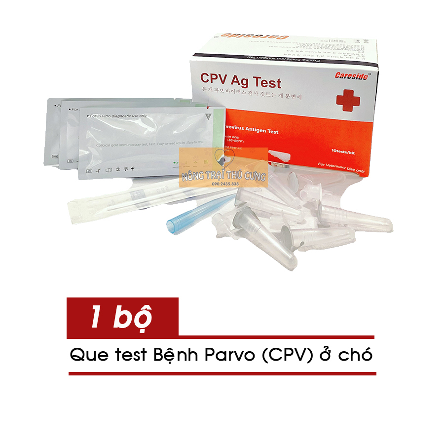 Bộ Que Test Xét Nghiệm Bệnh Parvo CPV Ở Chó - Ag Test Kit Careside (Hàn ...