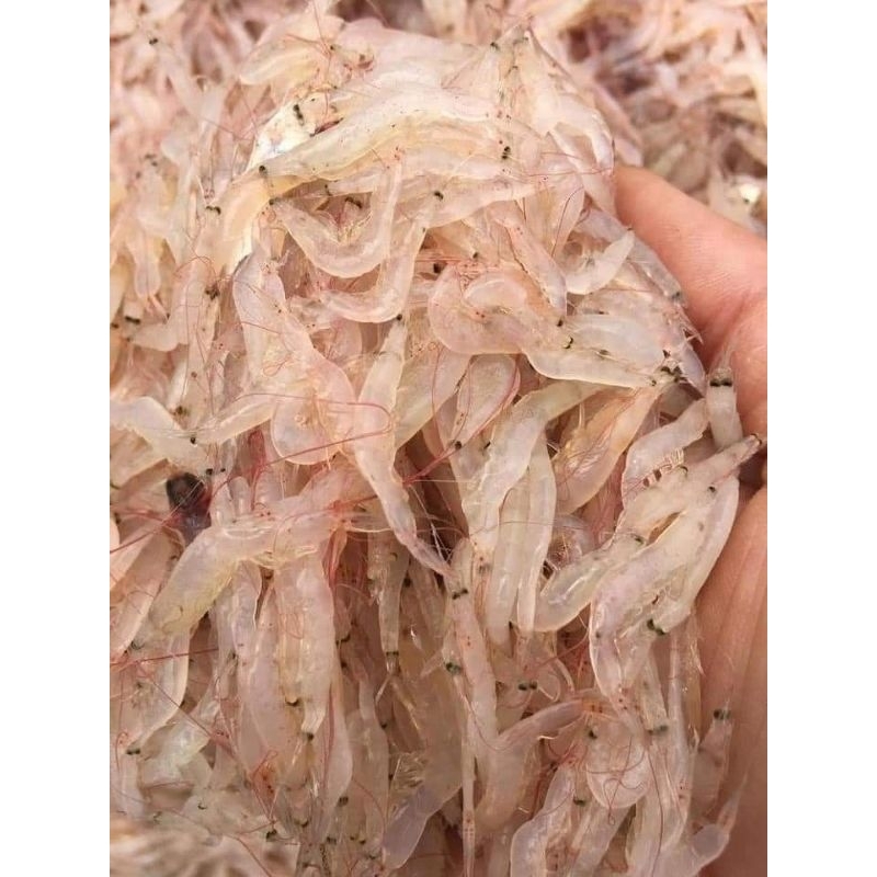 tép biển tươi cấp đông( moi biển) | Shopee Việt Nam