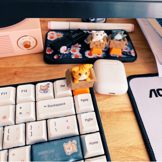 Keycap Mèo Con Trong Hộp Cute, Nút bàn phím Mèo Dễ thương [Combo 4màu ...