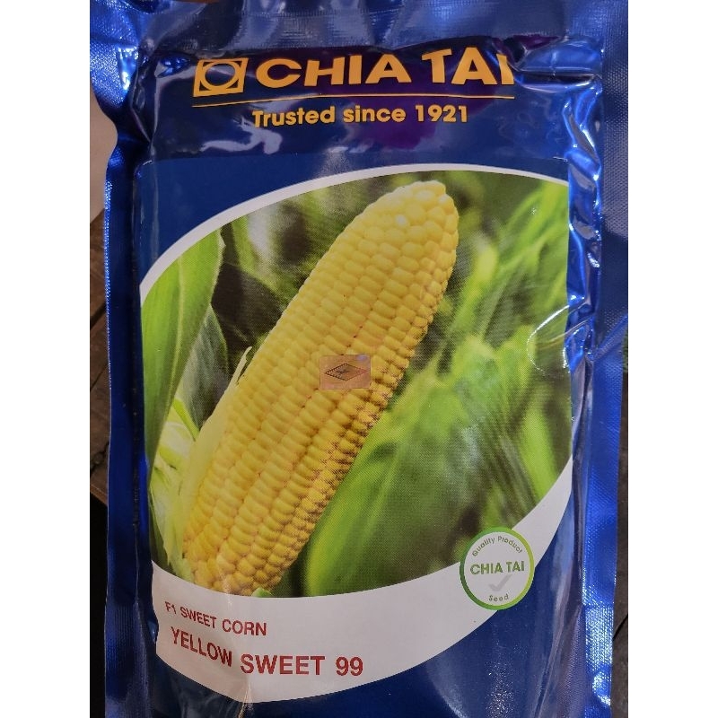 Hạt giống ngô ngọt Chia Tai 99 (túi 500gram) | Shopee Việt Nam