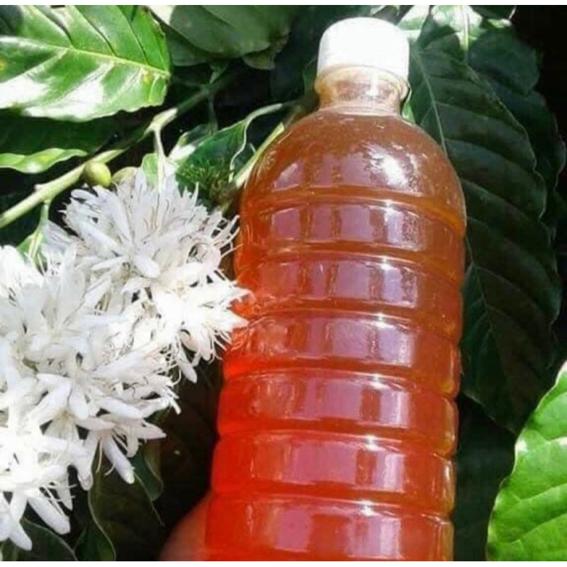 Mật ong hoa cà phê nguyên chất | Shopee Việt Nam