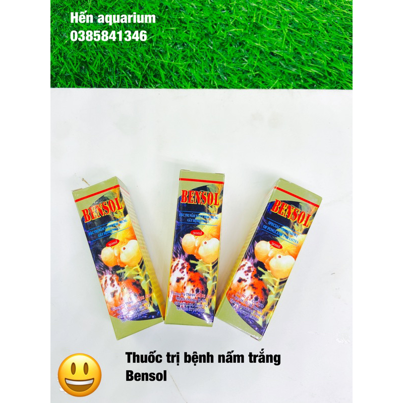 Thuốc bensol điều trị bệnh nấm cho cá cảnh ( chai 30 ml) | Shopee Việt Nam