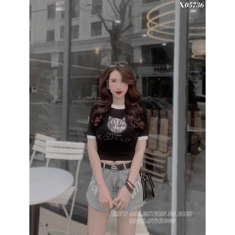Áo bo dy mèo | Shopee Việt Nam