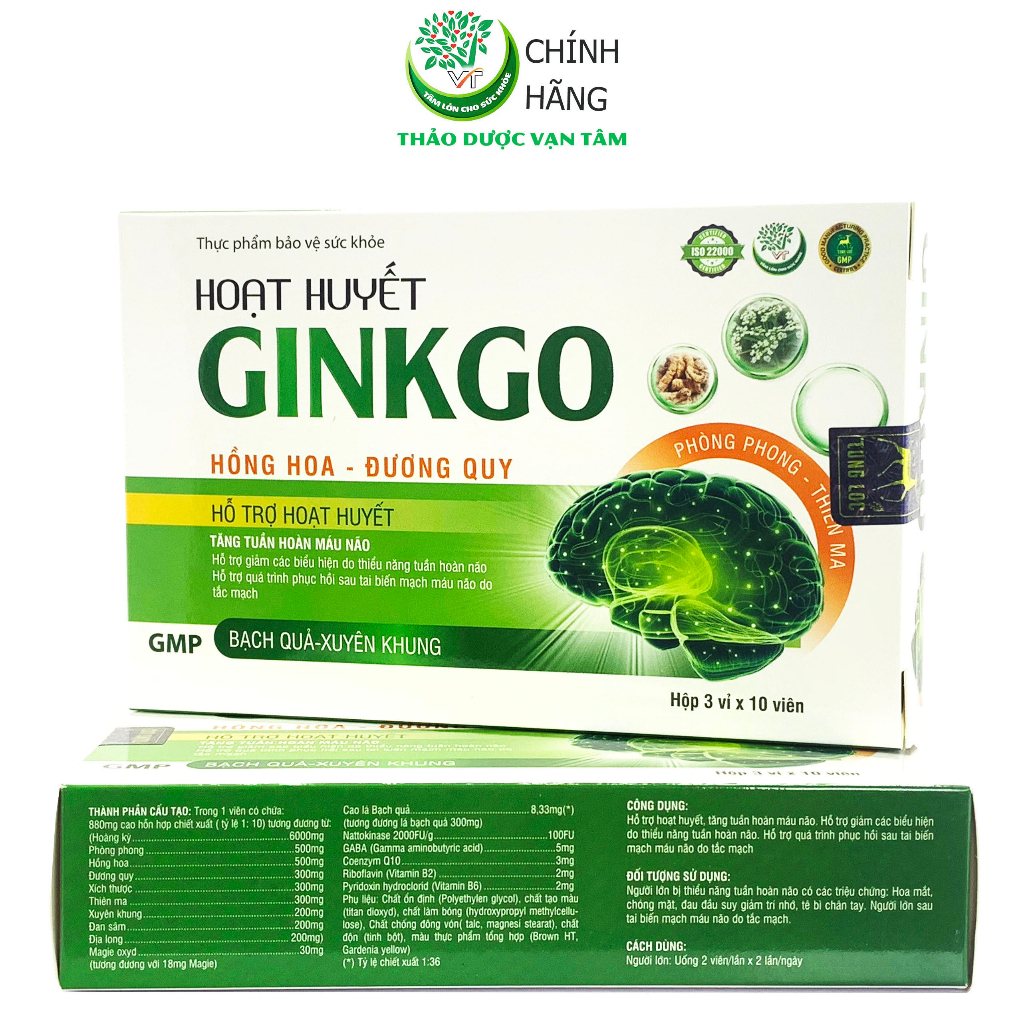 Hoạt Huyết GINKGO - Hỗ trợ hoạt huyết, tăng tuần hoàn máu não | Shopee ...