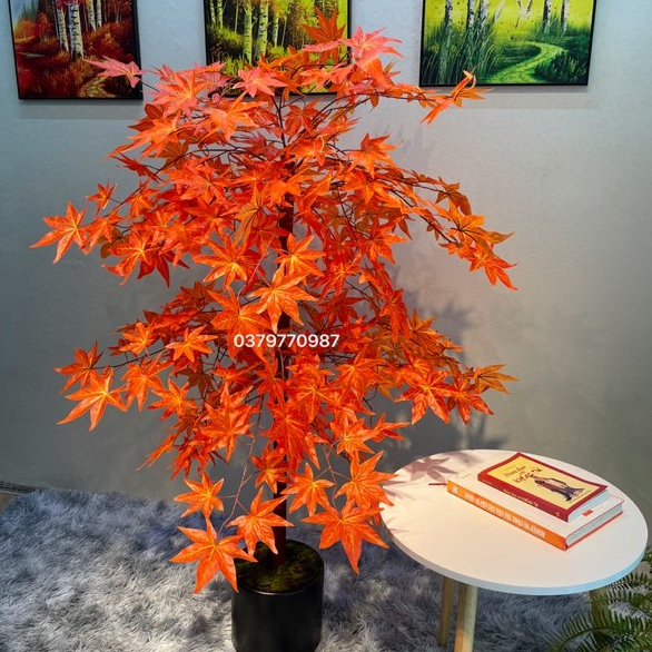 Cây Phong Lá Đỏ, Lá Cao Su, Cây Phong Giả Trang Trí, Decor Nhà Hàng ...