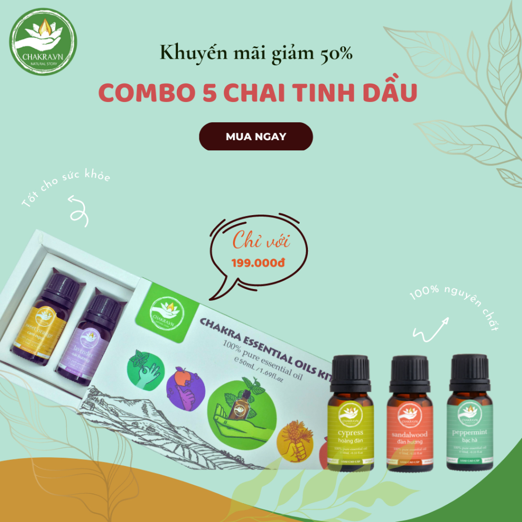 Combo 5 Tinh Dầu Thiên Nhiên Nguyên Chất Chakra Essential Oils Kit ...