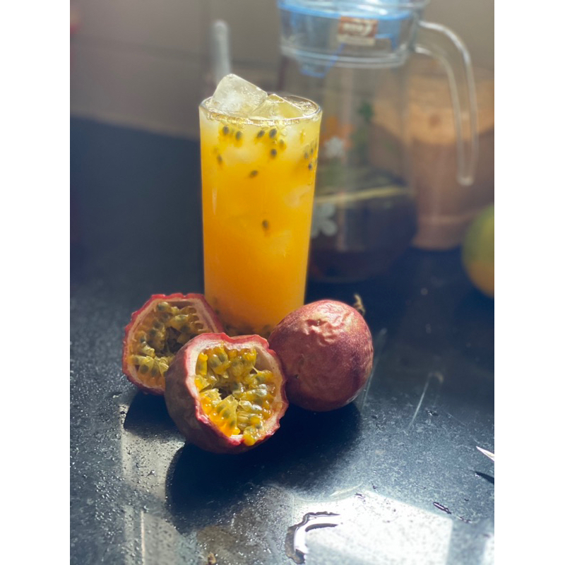 Scoby Làm Trà Kombucha: 1 scoby mini +100ml nước mồi và sổ tay Hướng ...