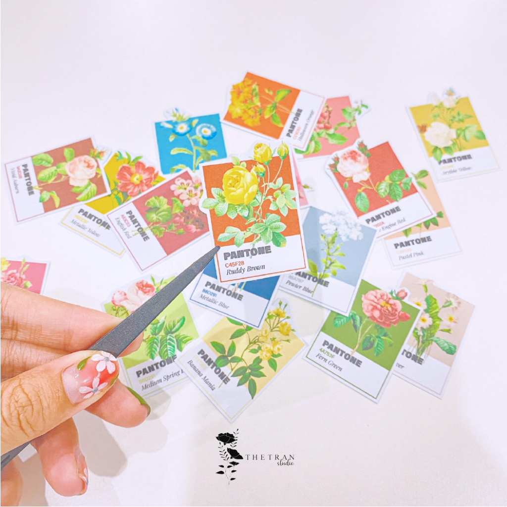 𝐟𝐥𝐨𝐰𝐞𝐫 𝐩𝐚𝐧𝐭𝐨𝐧𝐞 (15) bộ stickers cute bảng màu hoa / thetranstudio ...