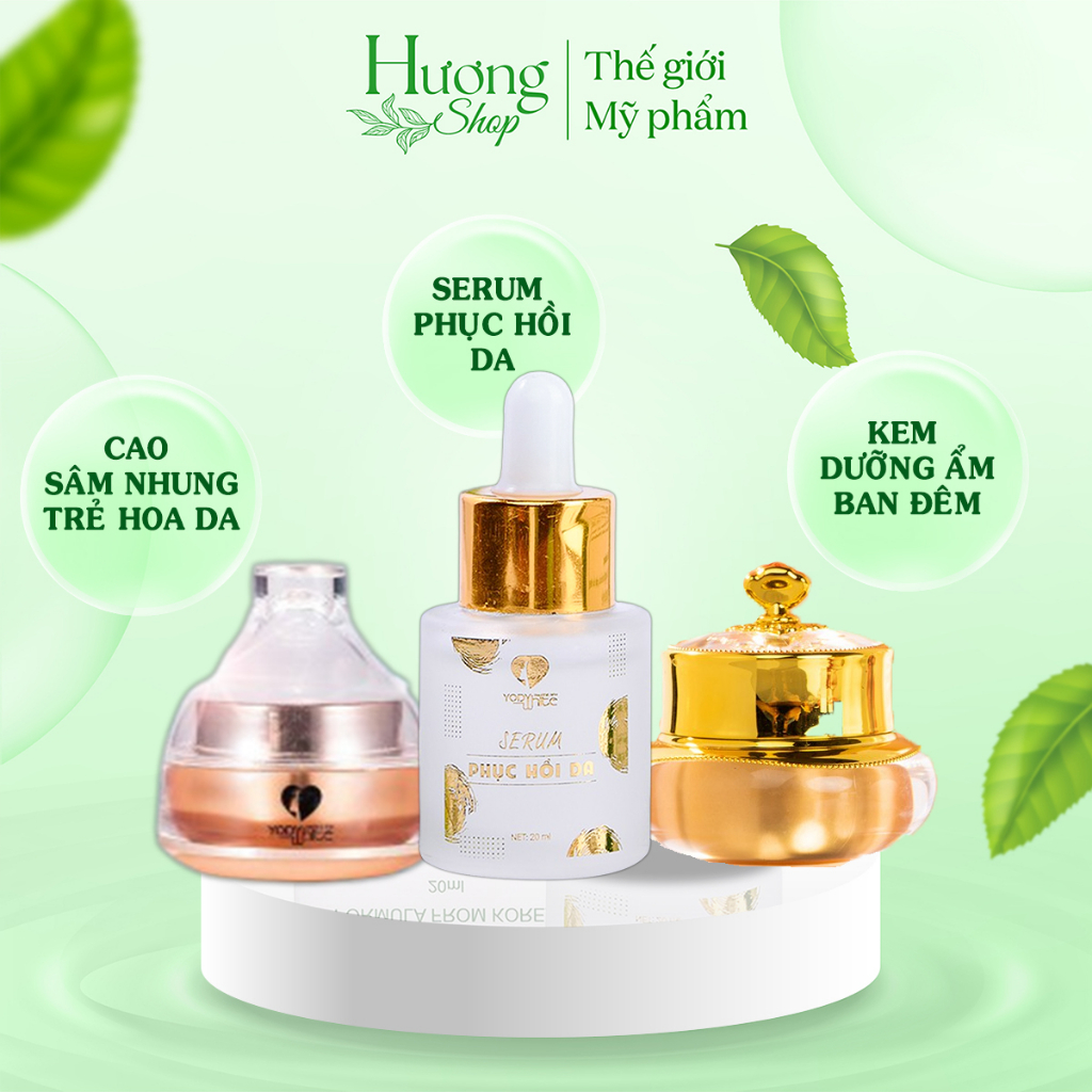 Combo Phục Hồi Da Sau Tái Tạo, Serum Phục Hồi - Cao Sâm Nhung - Kem Dưỡng Đêm SuSu Yody Phương ...