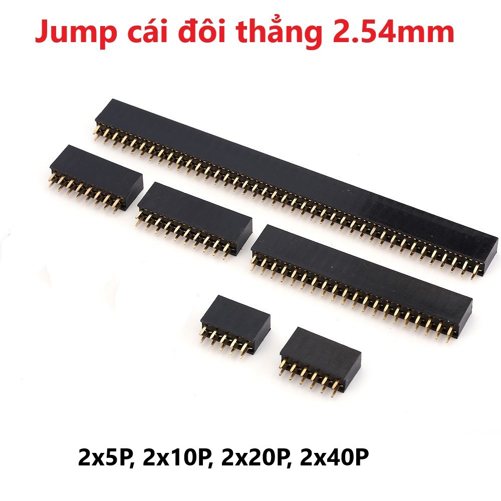 Jump cái đôi thẳng 2.54mm 2x5P, 2x10P, 2x20P, 2x40P | Shopee Việt Nam