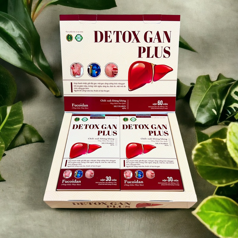 Detox gan plus giải độc gan , mát gan cho người bia rượu, men gan cao ...