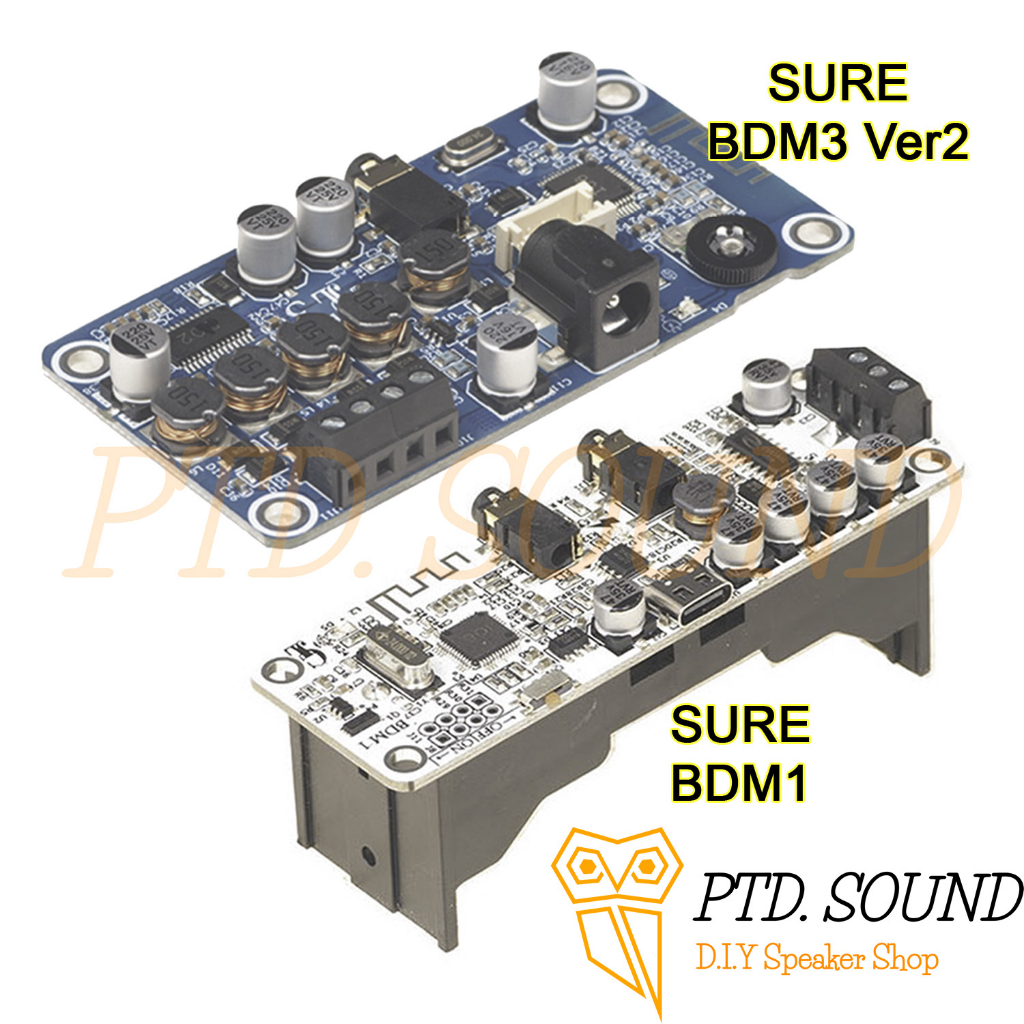 Mạch Sure BDM3 và Sure BDM1 Chỉnh DSP khuếch đại âm thanh bluetooth 5.0 ...