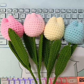 hoa tulip len giá tốt Tháng 3, 2025 | Mua ngay | Shopee Việt Nam