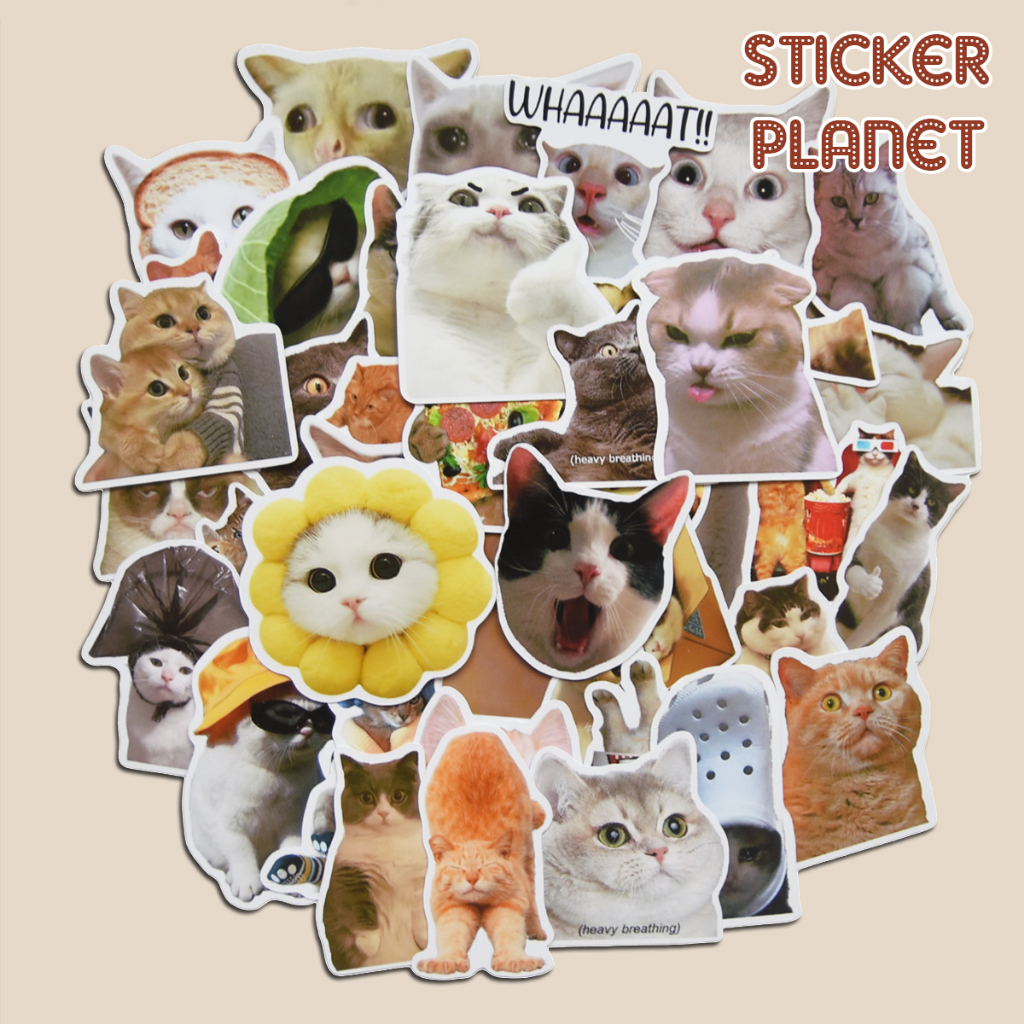 Sticker MEME MÈO hài hước nhãn dán trang trí mũ bảo hiểm, laptop, vali ...