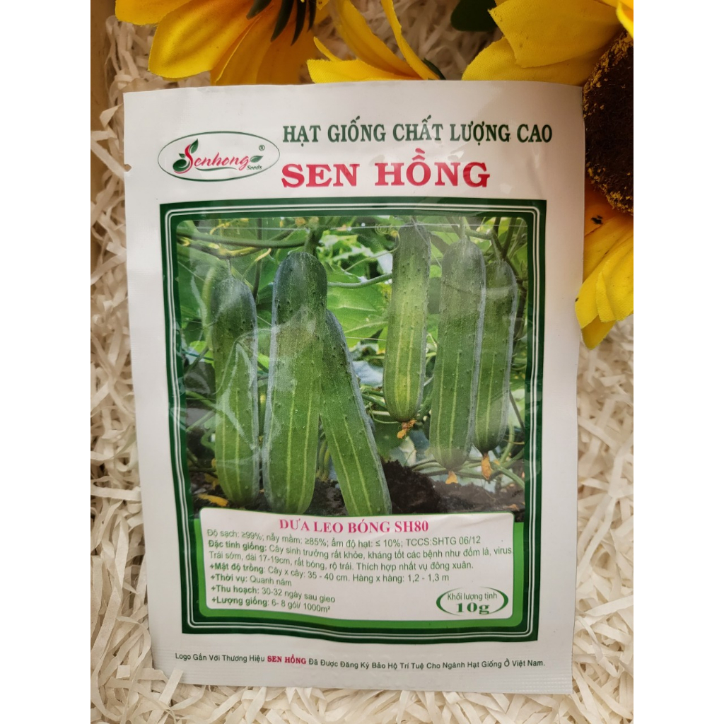 Hạt Giống Dưa Leo lai F1 Sen Hồng SH 80 (Gói 10 Gam) | Shopee Việt Nam