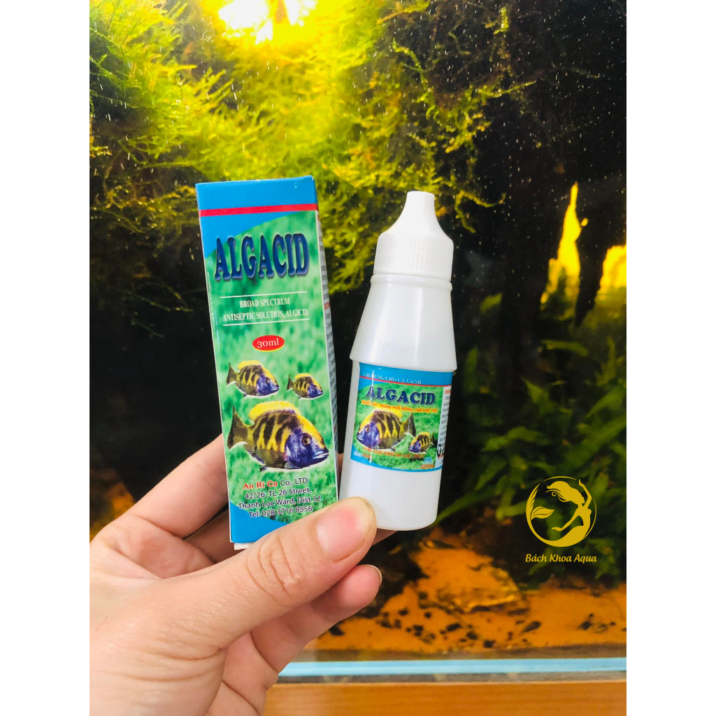 Thuốc sát trùng phổ rộng Algacid - 30ml cho bể cá | Shopee Việt Nam