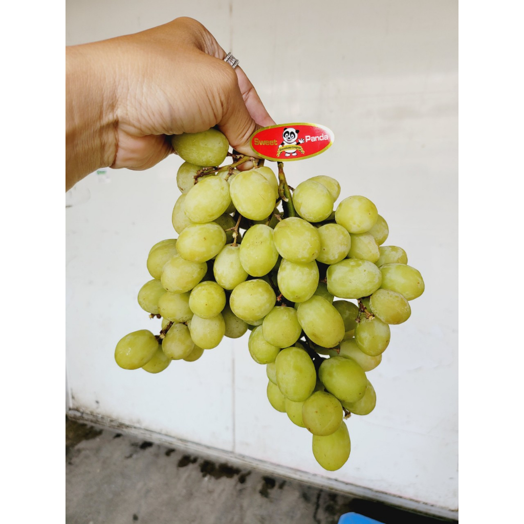 [Ship Hỏa Tốc HCM 1-2 giờ ] 1kg nho xanh Peru Panda cứng giòn ngọt | Shopee Việt Nam