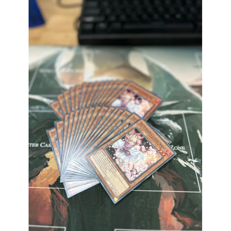 [Min Yugioh] Ash Blossom & Joyous Spring - SDBT-EN014 - Common 1st ...