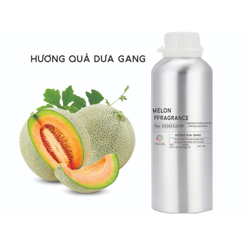 HƯƠNG MELON (QUẢ DƯA GANG) | Shopee Việt Nam