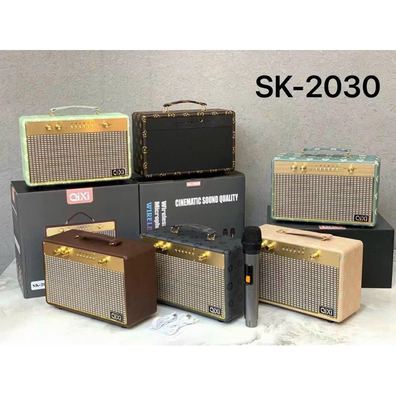 Loa Bluetooth SK-2030 kèm 1 micro karaoke không dây công suất 30 W | Shopee Việt Nam