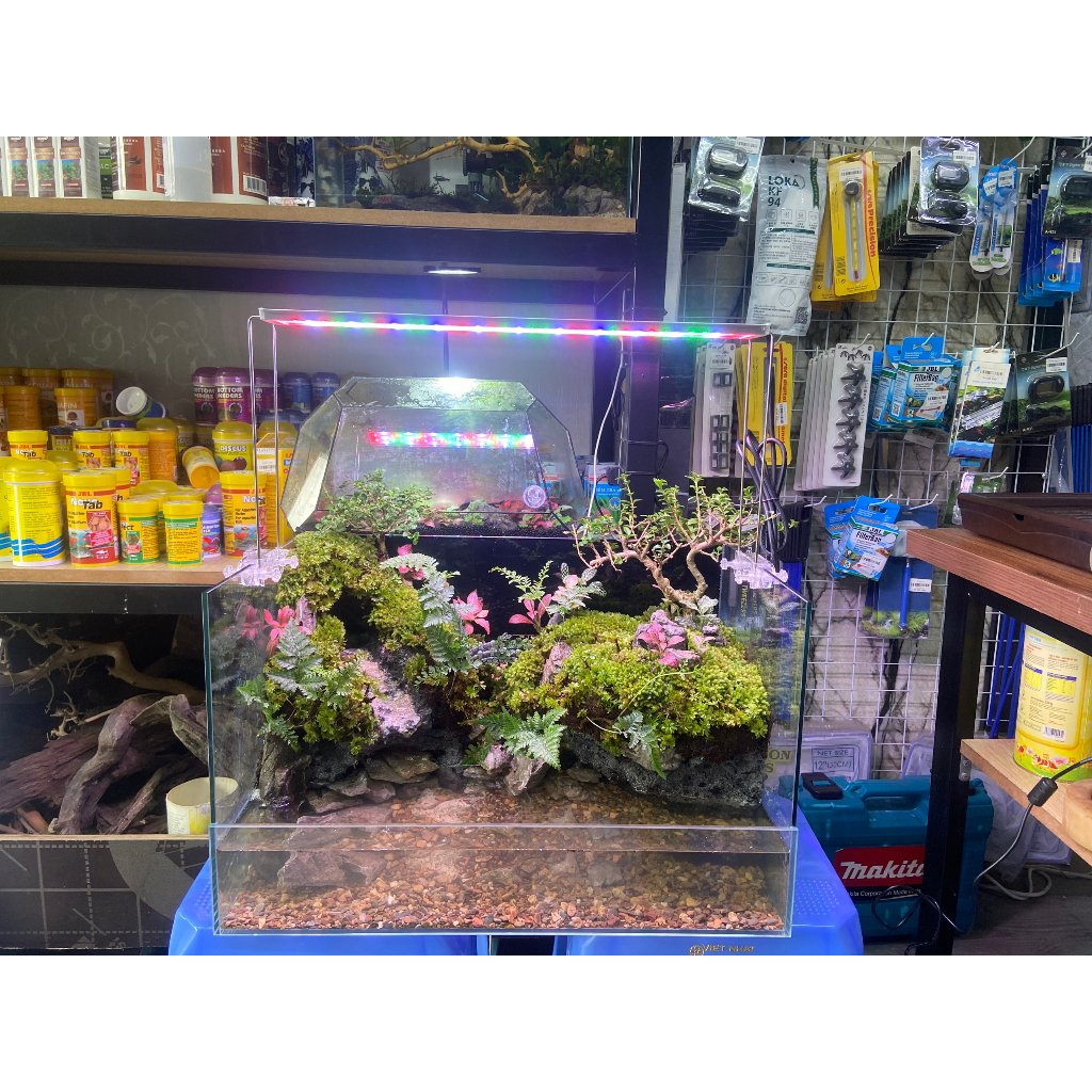 ĐÈN LED COCO WRGB UR400, R500, R600 | Shopee Việt Nam