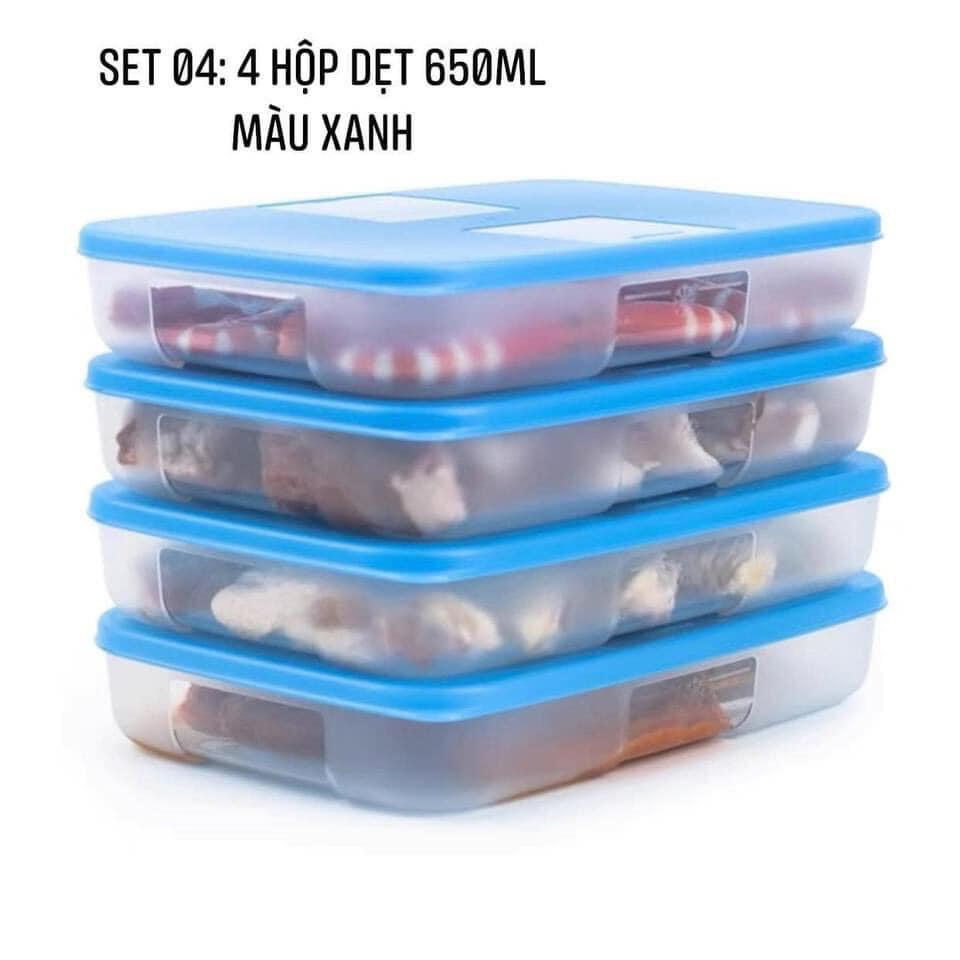 Hộp trữ đông dẹp 650ml Tupperware Việt Nam | Shopee Việt Nam