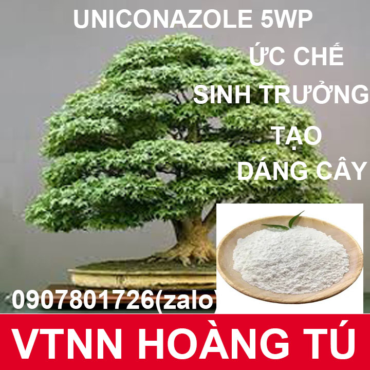Hoạt chất Uniconazole 5WP (Ức chế sinh trưởng, tạo dáng cây) gói 100g ...