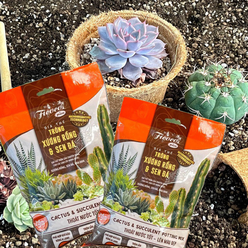 GIÁ THỂ TRỒNG XƯƠNG RỒNG & SEN ĐÁ - FICOCO | Shopee Việt Nam