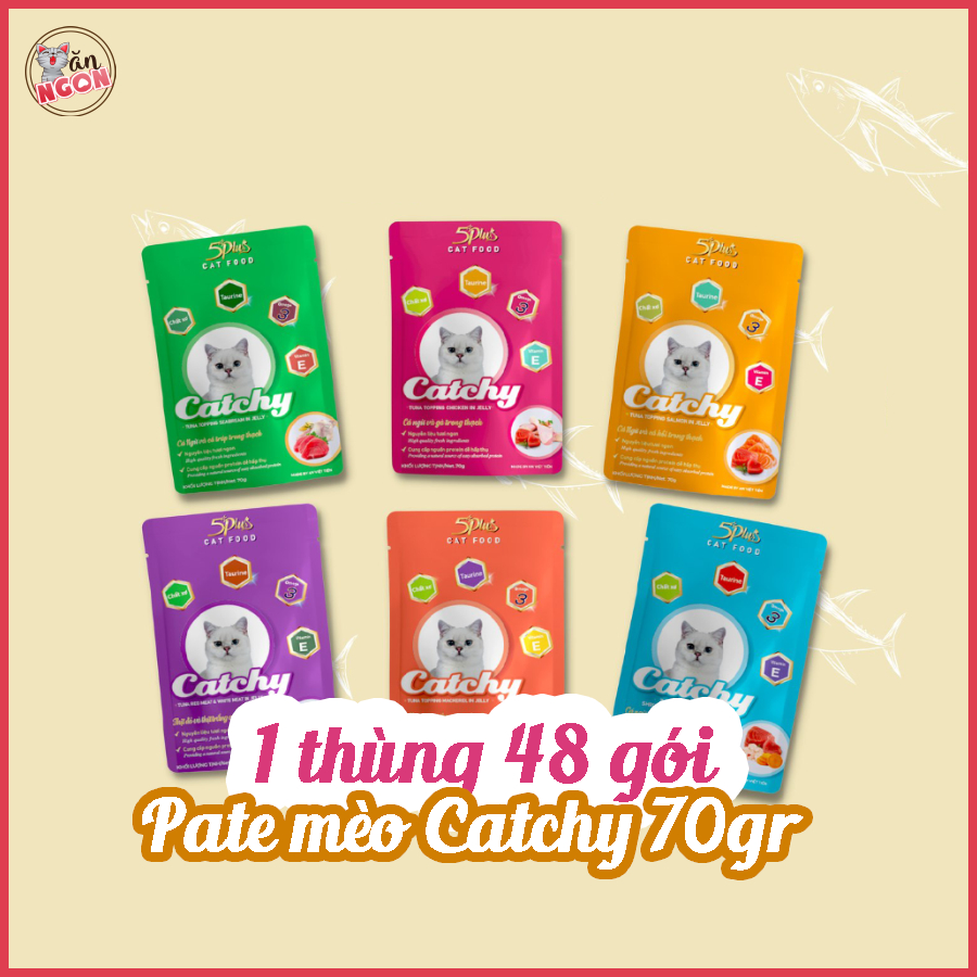 1 thùng 48 gói pate Catchy 5plus mix 6 vị - Pate cho mèo làm từ thịt ...
