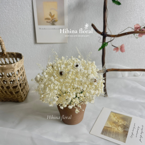 Chậu Hoa Mini Để Bàn Chậu Hoa Baby Khô Mini Trang Trí, Chậu Hoa Nhỏ ...