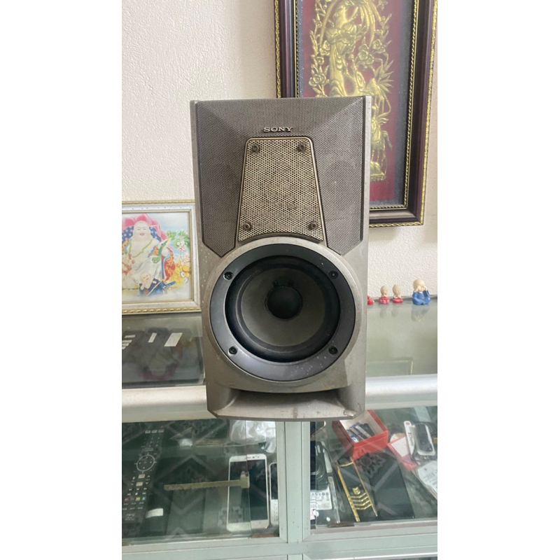 Thanh lý 01 chiếc loa lẻ Sony SS-W550G cs 100-300w max nguyên zing | Shopee Việt Nam