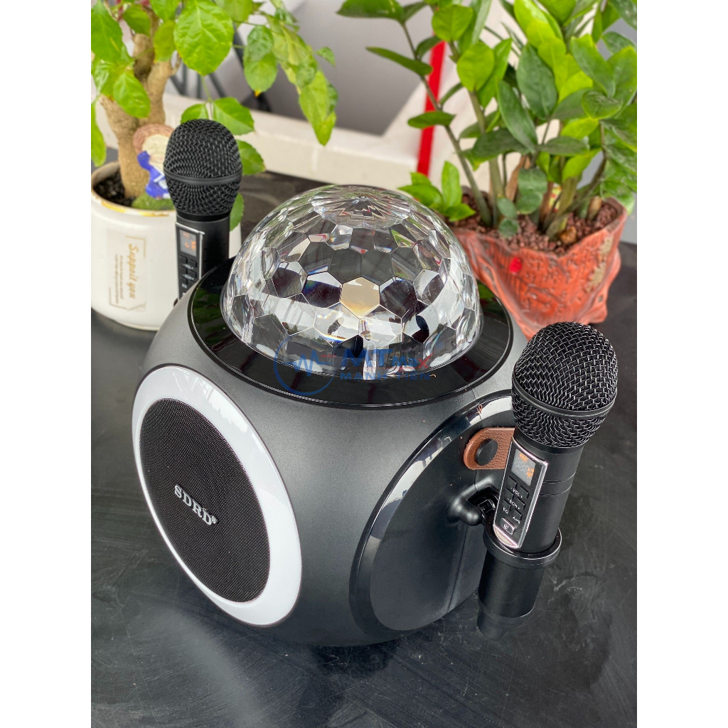 Loa Karaoke Di Động bluetooth SD325 Kèm 2 Micro - Bass Cực Ấm, 3 Chế Độ ...