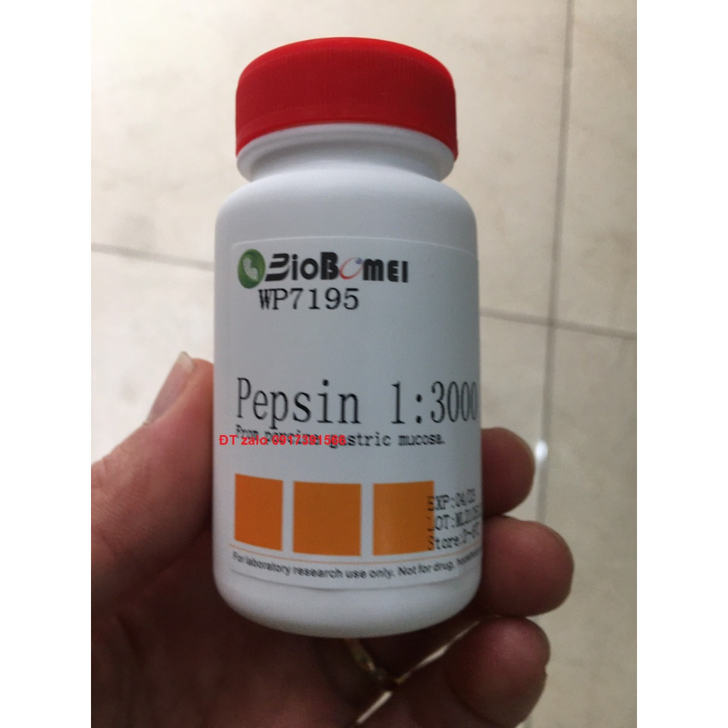 Enzim Pepsin from porcine gastric mucosa CAS 9001-75-6 lọ 25g | Shopee ...