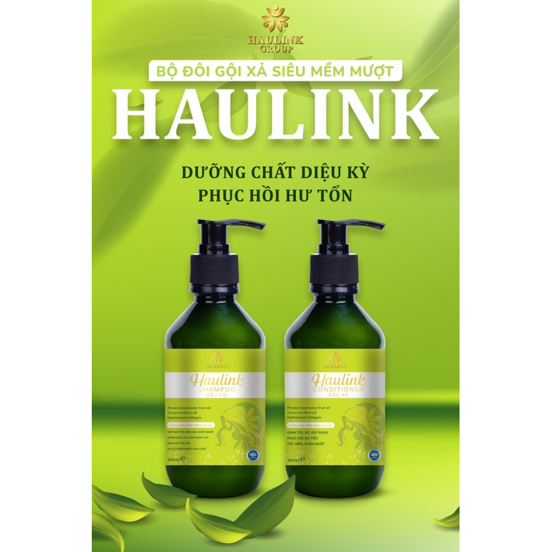 Bộ đôi dầu gội Haulink | Shopee Việt Nam