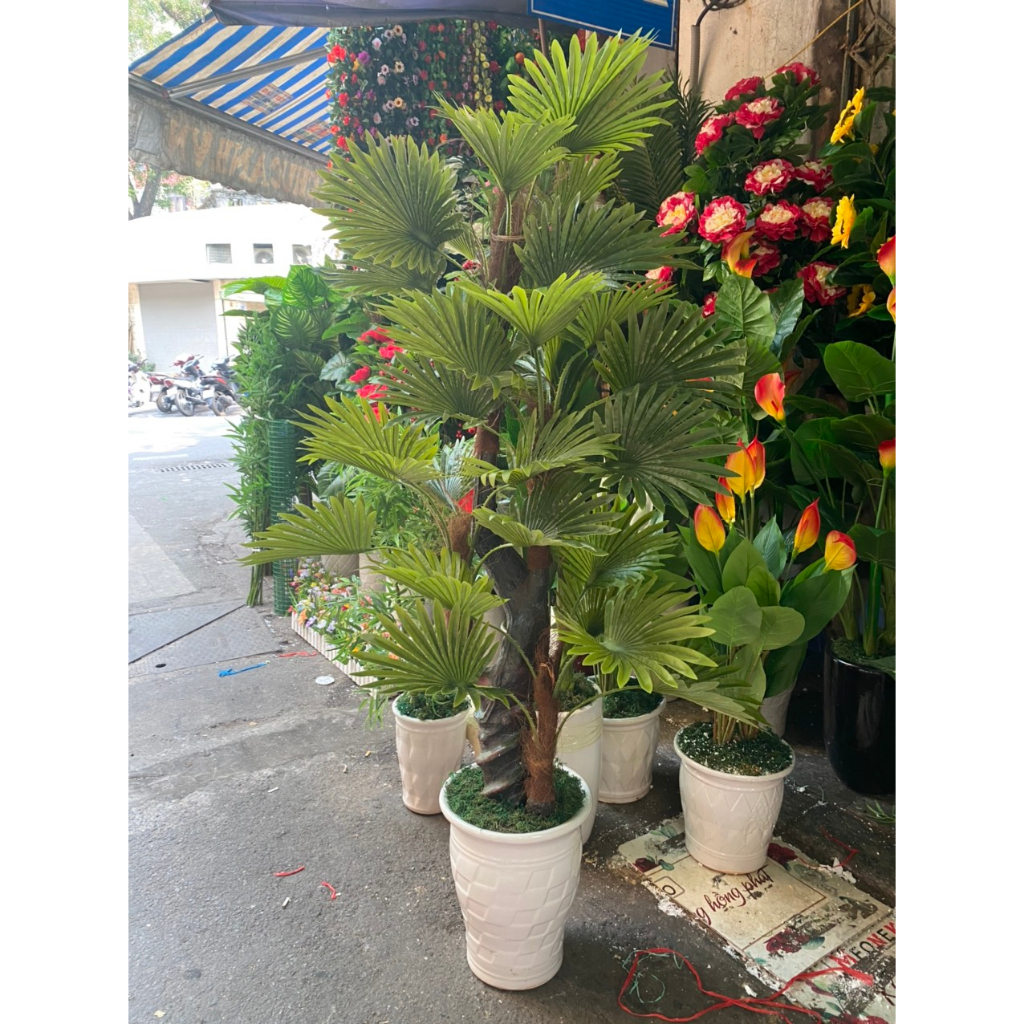 [FREESHIP] Cây giả decor cây cọ cao 1m7 decor nhà cửa, sân vườn bền đẹp ...