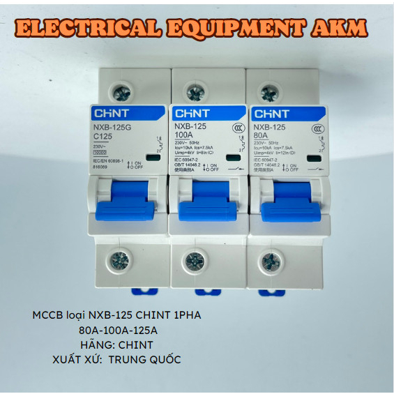 MCCB LOẠI NXB-125 CHINT MCB 1P 2P 3P 80A/100A/125A - Dòng cắt 10KA | Shopee Việt Nam
