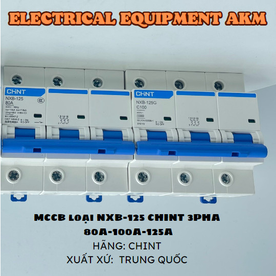 MCCB LOẠI NXB-125 CHINT MCB 1P 2P 3P 80A/100A/125A - Dòng cắt 10KA ...