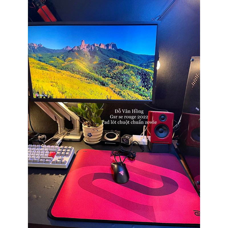 (CHÍNH HÃNG) Lót chuột BenQ Zowie Gsr (GSR) GTR, Gsr-se Rouge 2022 đỏ ...