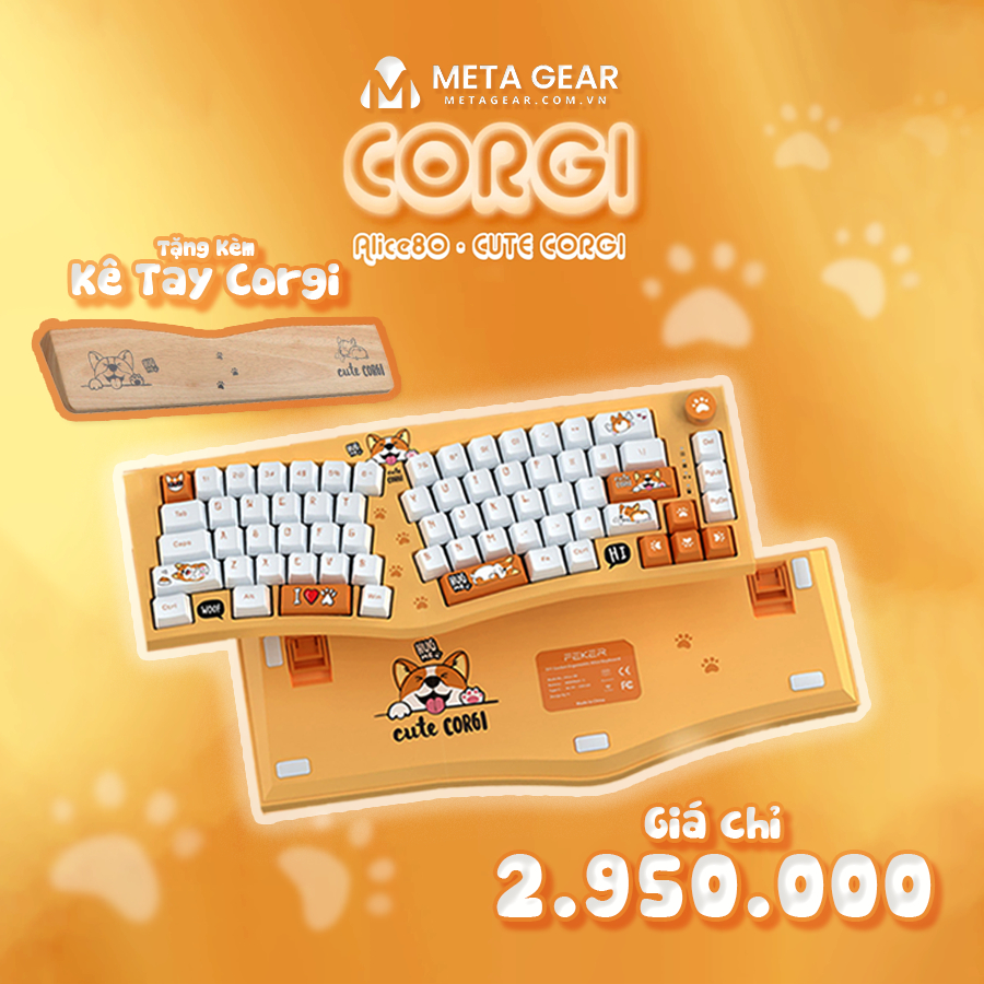 Bàn phím cơ không dây FEKER ALICE 80 - CORGI | 3 modes | Hotswap | Mạch ...