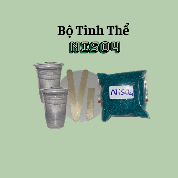 Bộ dụng cụ nuôi tinh thể NiSO4 ( có giấy hướng dẫn ) | Shopee Việt Nam