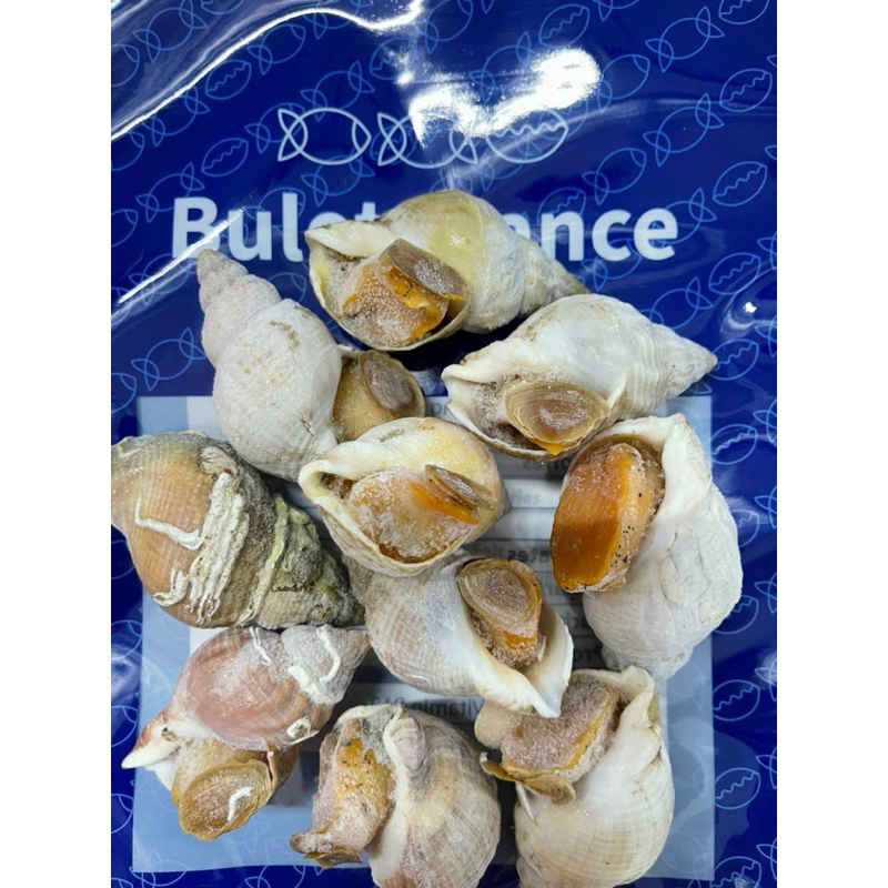 HOẢ TỐC - ỐC BULOT 1KG | Shopee Việt Nam