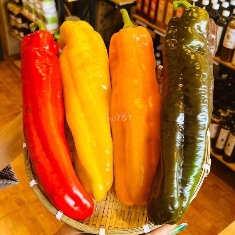 FREESHIP - Trái Ớt Ngọt Palermo size VIP đủ màu - ớt trái cây giòn ngọt ...