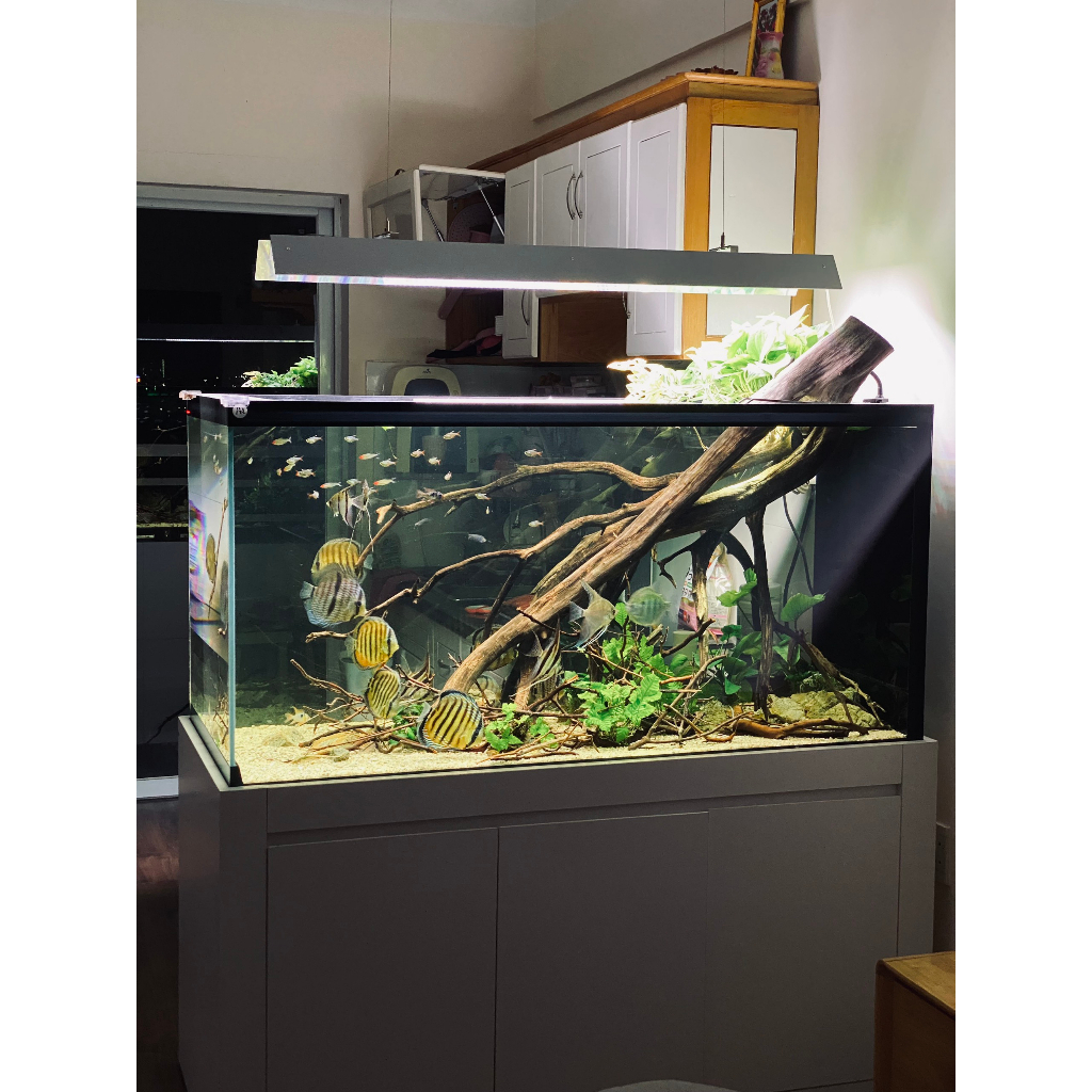 Shade che đèn MAD size hồ 70cm đến 120cm | Shopee Việt Nam
