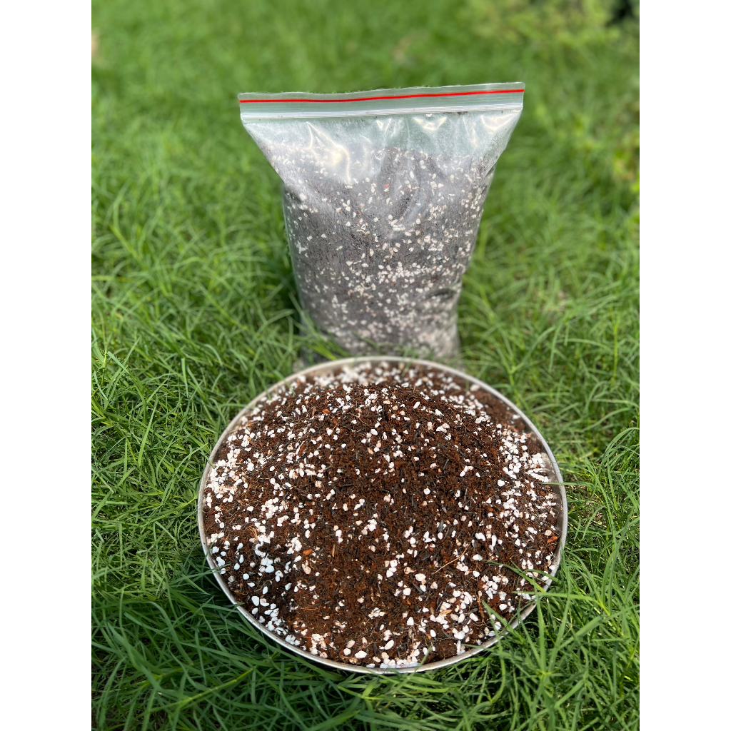 1KG GIÁ THỂ (ĐẤT TRỒNG) SOILMIX DÀNH RIÊNG CHO SEN ĐÁ VÀ XƯƠNG RỒNG ...