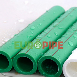 Rắc co ren ngoài nhiệt ppr DISMY D50 D63 | Shopee Việt Nam