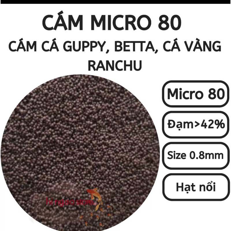Cám micro 80 ( Hạt Nổi ) | Shopee Việt Nam