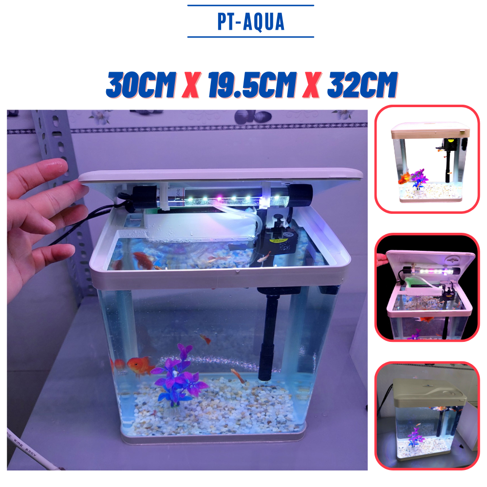 Bể Cá Kính Đúc 30cm tích hợp LỌC và ĐÈN , Dài 30cm Rộng 19.5cm Cao 32cm ...