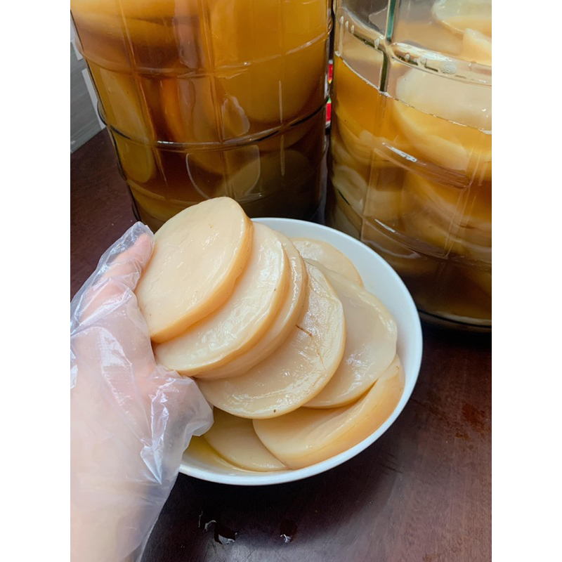 Scoby con giống làm trà kombucha (có kèm nước mồi) | Shopee Việt Nam